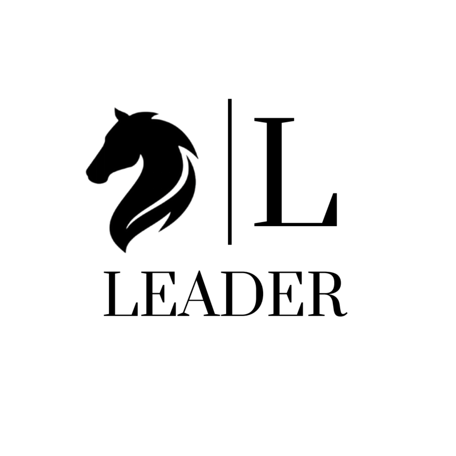 Leader Clothings – Premium Men's T-Shirts – LEADER